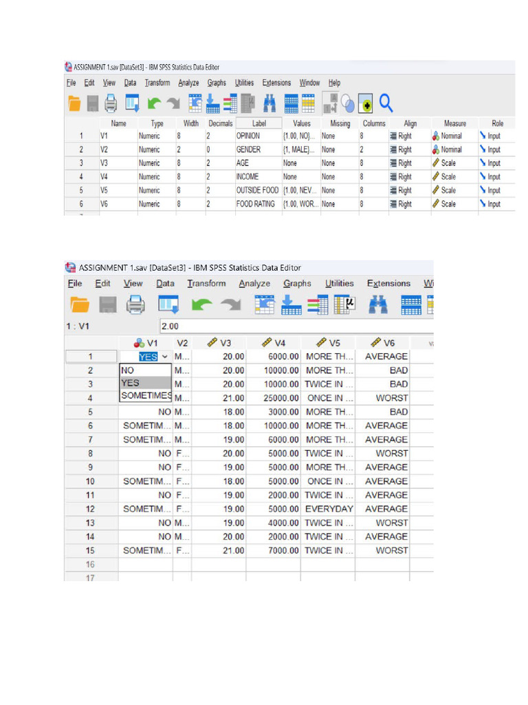 Spss Screen | PDF