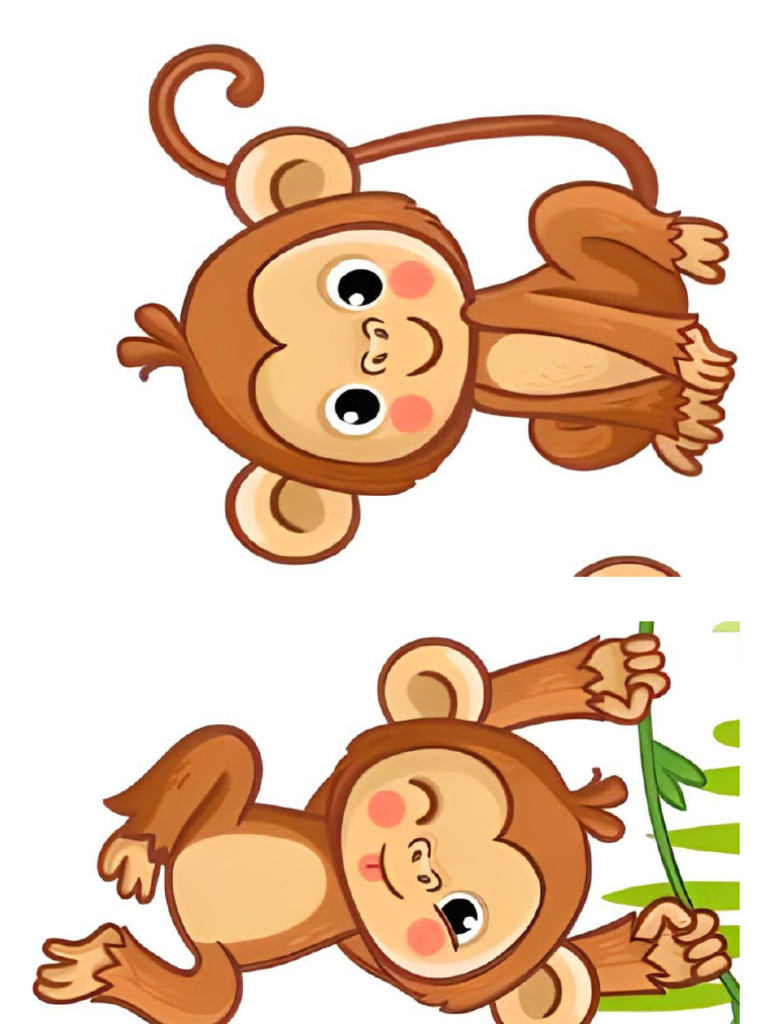 Monos | PDF