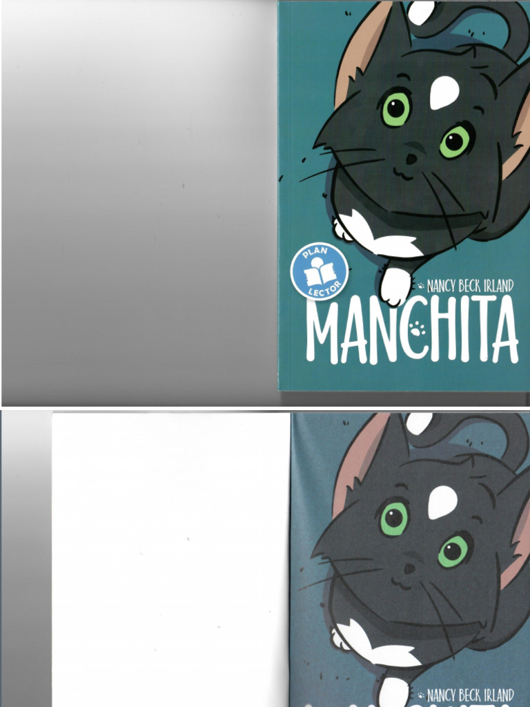 Libro Manchita Sebastian Arancibia-2 | PDF