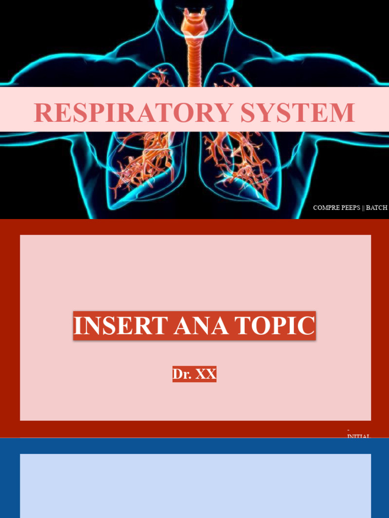 Respiratory System | PDF | Lung | Breathing