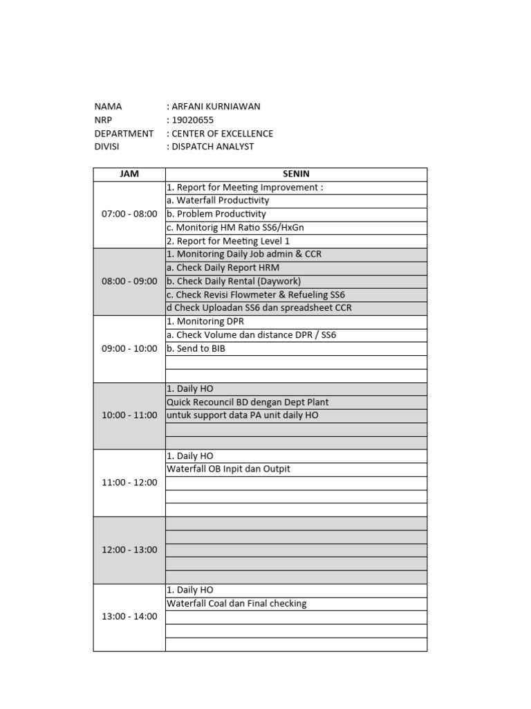 Daily Activity Arfani | PDF | Incremental Computing | Spreadsheet Software