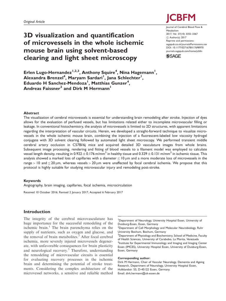 3D Visualization and Quantification of Microvessels in The Whole Ischemic Mouse Brain | PDF ...