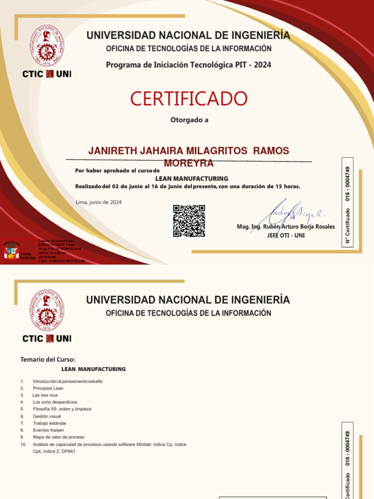 Janireth Ramos Moreyra | PDF | Negocios | Informática