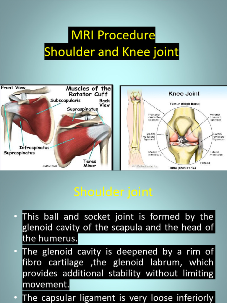 MRI Scan of Shoulder and Knee M.SC 2nd & B.SC 3rd Year | PDF | Knee ...