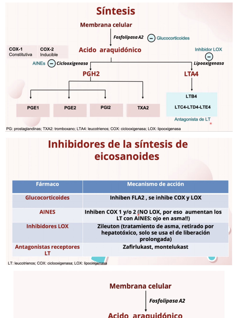 Clasificación de AINES y sus usos | PDF | Salud y bienestar