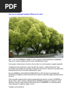 Camphor Sublimation Process Explained | PDF | Crystallization | Phase ...