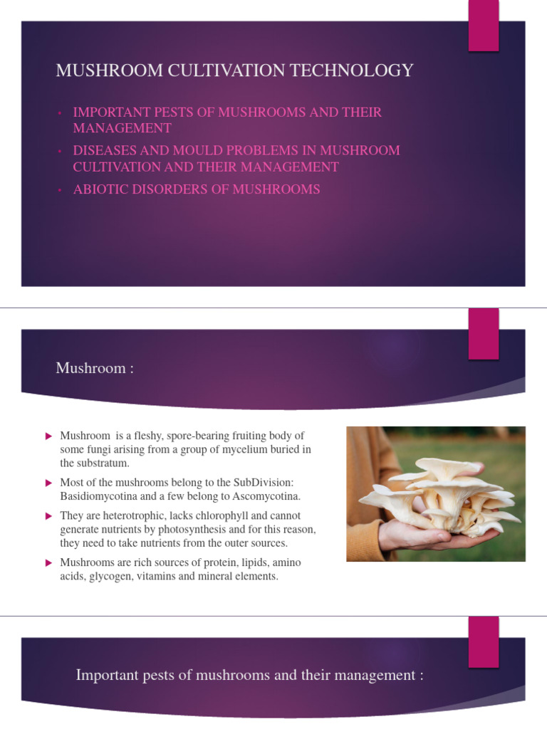 Mushroom PPT Presentation | PDF | Mushroom | Pest (Organism)