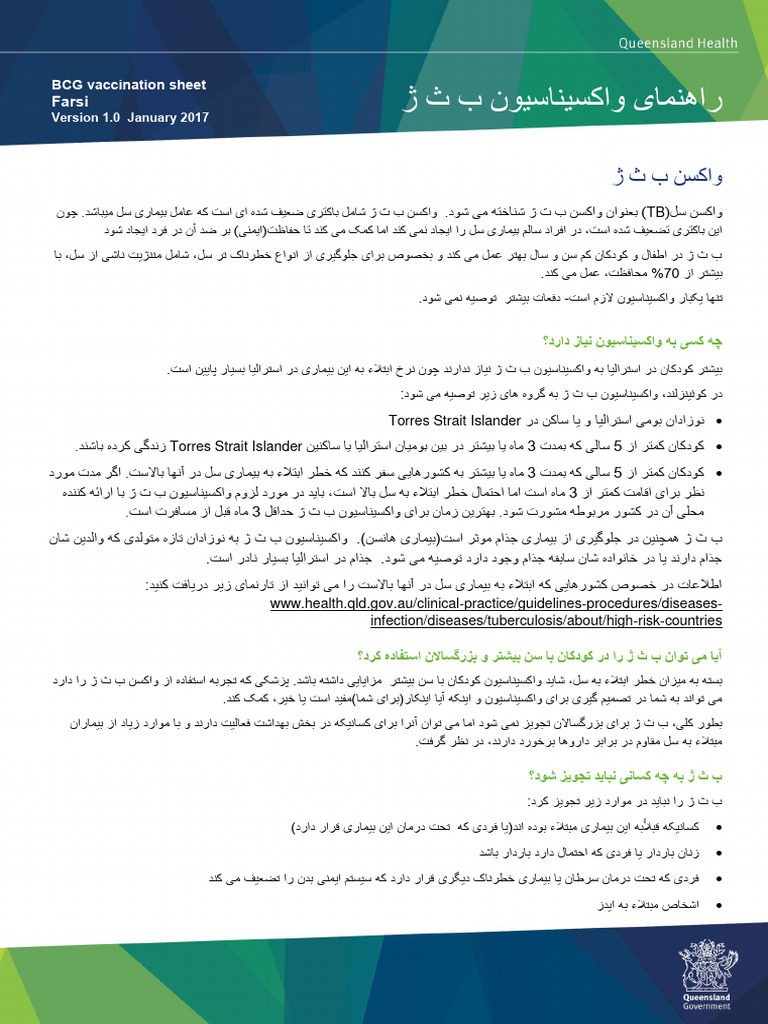 BCG Farsi | PDF