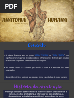 Variações Anatômicas do Seio Transverso | PDF | Seio