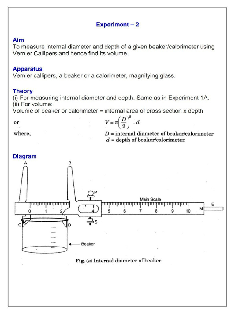 Experiment 1B | PDF