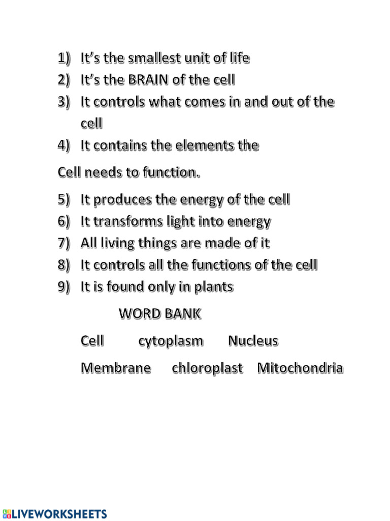 4. WS plant cell (fill the blank) | PDF