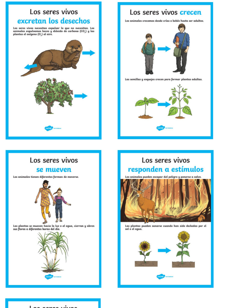 Caracteristicas de Los Seres Vivos | PDF