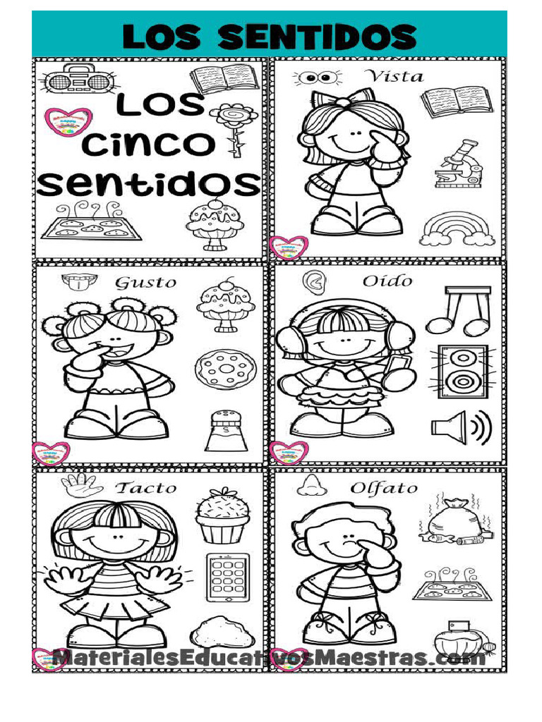 Los Sentidos Colorear | PDF