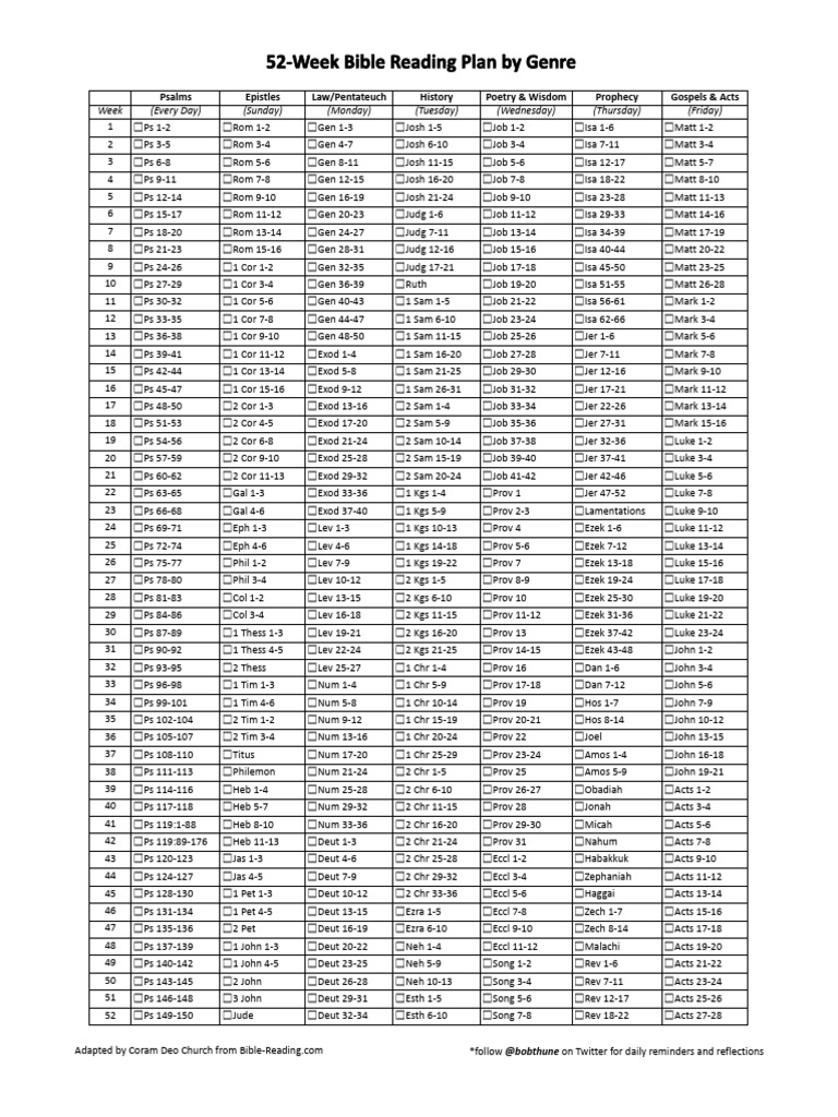 Custom Bible Reading Plan | PDF | Supernatural Books | Religious Literature