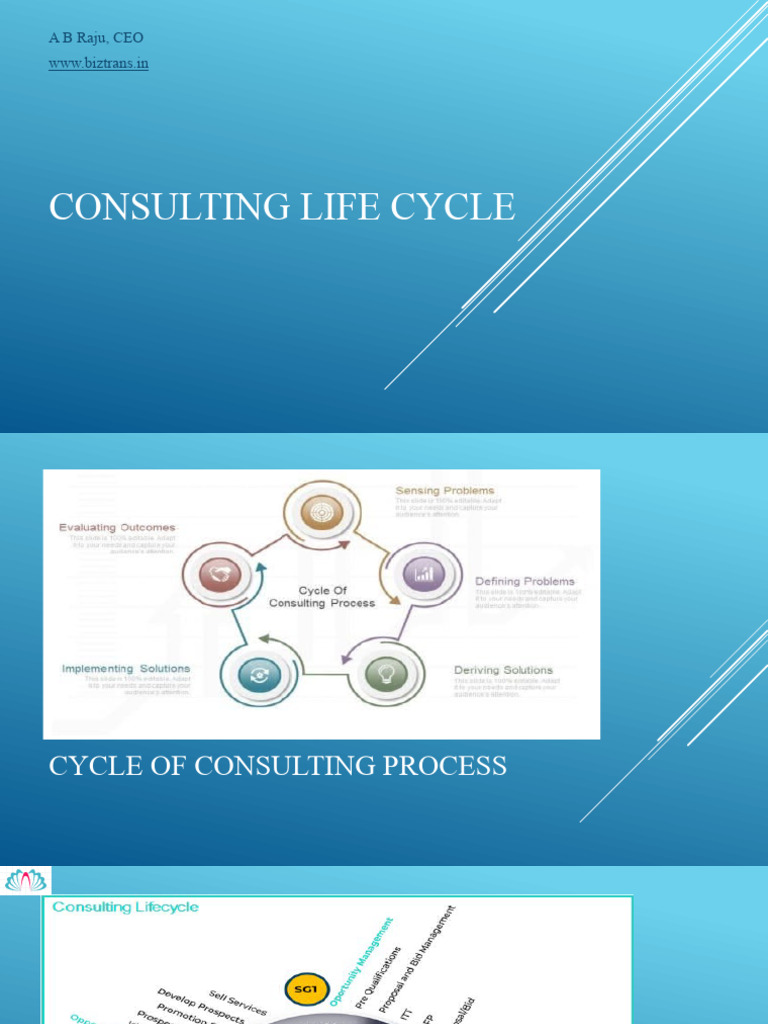 Consulting Life Cycle | PDF | Consultant | Communication