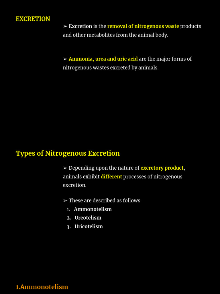 Excretion Complete Notes by Aashif Ali | PDF | Kidney | Excretion