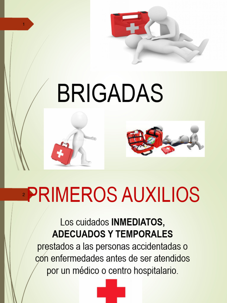 CAPACITACION Primeros Auxilios | PDF | Reanimación cardiopulmonar | Primeros auxilios