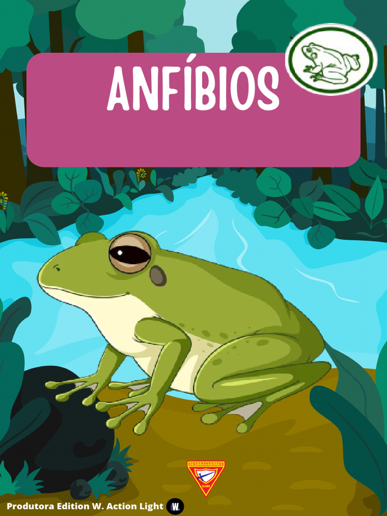 Apostila - Anfíbios-1 | PDF | Sapo | Anfíbio