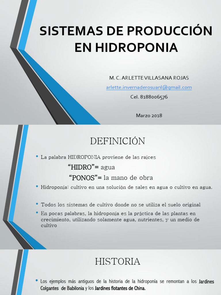 SISTEMAS DE PRODUCCION EN HIDROPONIA 2019 | Descargar gratis PDF | Hidroponia | Botánica