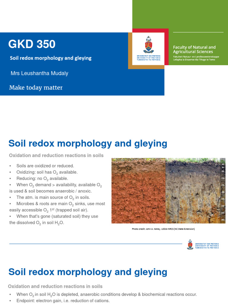 Soil Redox Morphology and Gleying | PDF | Soil | Redox