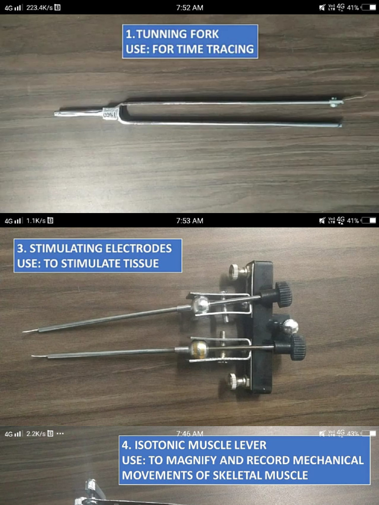 Physiology Spotting-1 | PDF