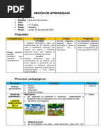 Sesión de Aprendizaje Cuidado de Los Animales | PDF | Aprendizaje | Mascota