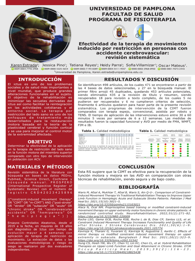 Poster - Programa de Fisioterapia | PDF | Terapia física | Investigación de salud