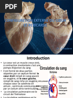 4 Péricarde | PDF | Anatomie | Angiologie