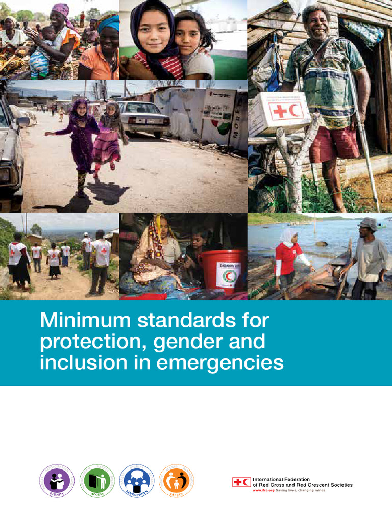 Minimum Standards For Protection Gender and Inclusion in Emergencies LR ...