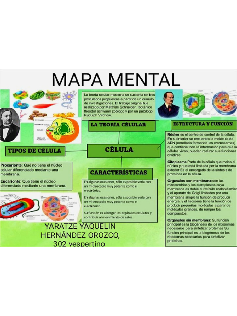 Mapa mental _biología _61893 | PDF
