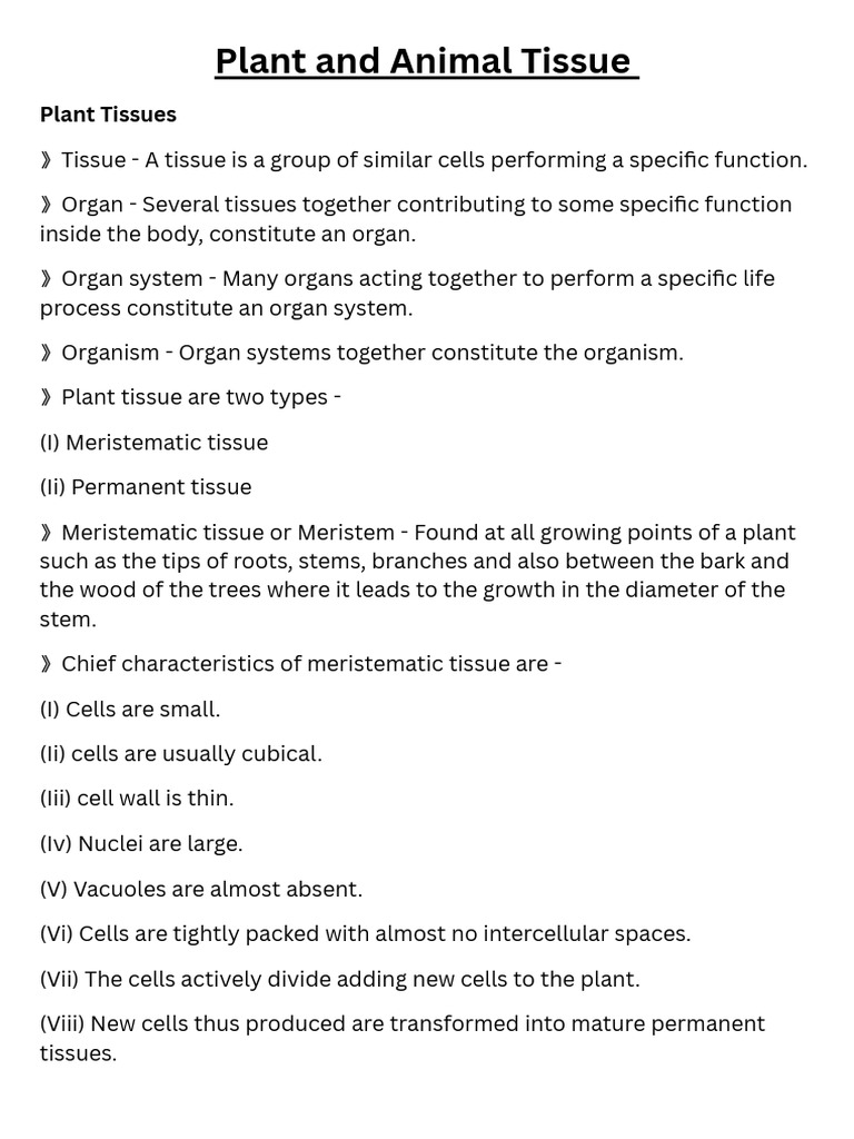 Plant and Animal Tissues 2 | Download Free PDF | Epithelium | Tissue ...