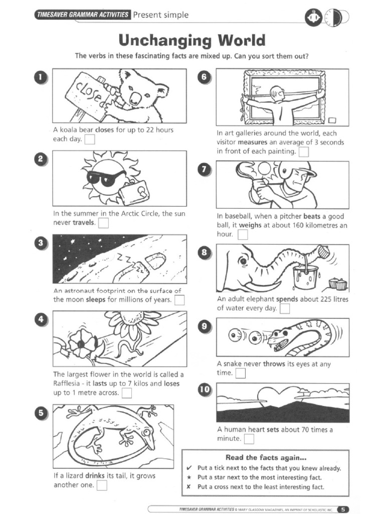 Pres Simple Facts A1 | PDF