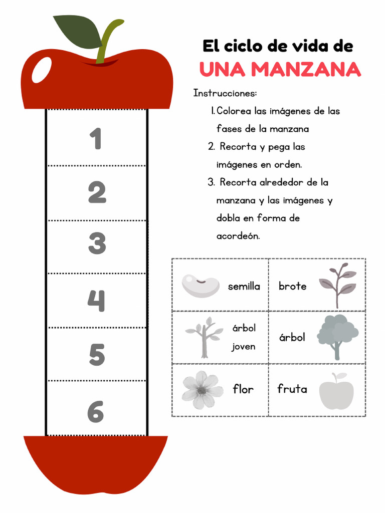 Ciclo de Una Manzana | PDF