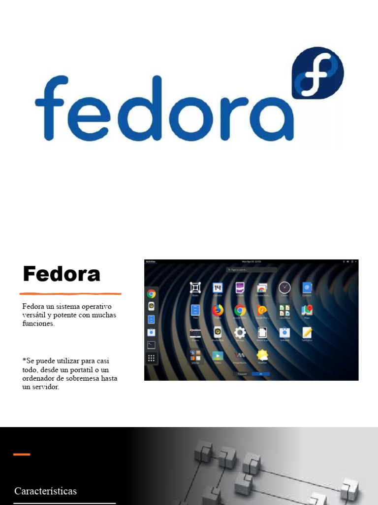 Exposición de Fedora_051641 | PDF