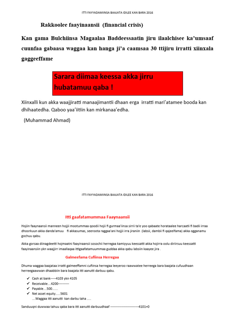 Ibsa Rakkoo FaayinaansiiBMB Idilee | PDF