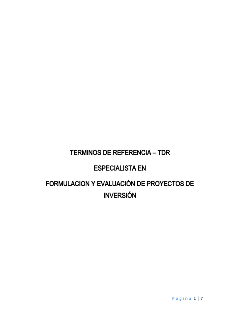 6.TDR Esp - Formulacion de Proyectos - Economista | PDF | Planificación | Presupuesto