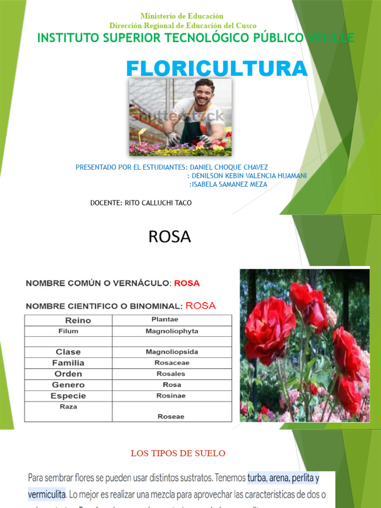 Flori Cultura | PDF | Agricultura | Botánica