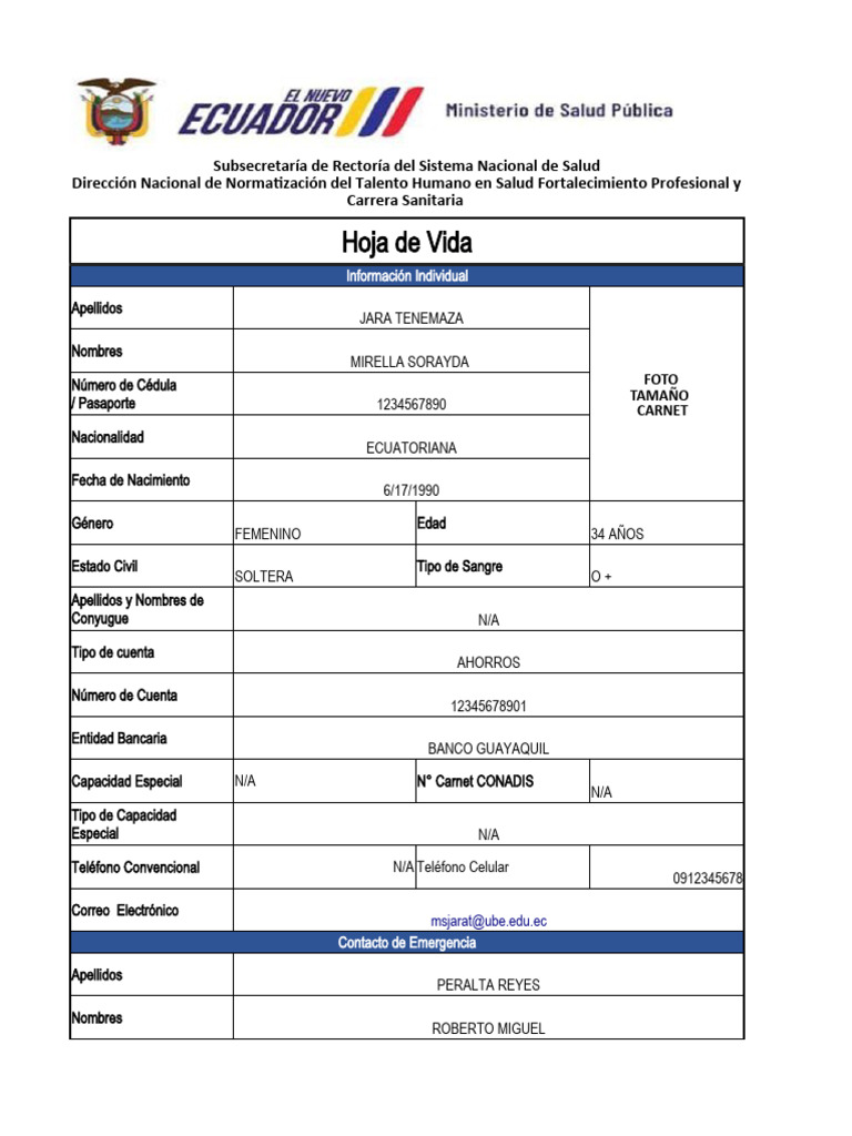 Formato CV MSP Actual - Ejemplo | PDF