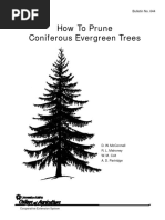 As 4373-2007 Pruning of Amenity Trees | PDF | Pruning | Plants