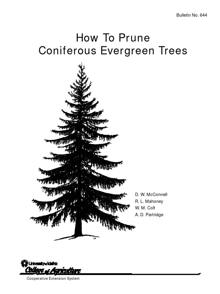 How To Prune Coniferous Evergreen Trees BUL0644 | PDF | Pruning | Trees