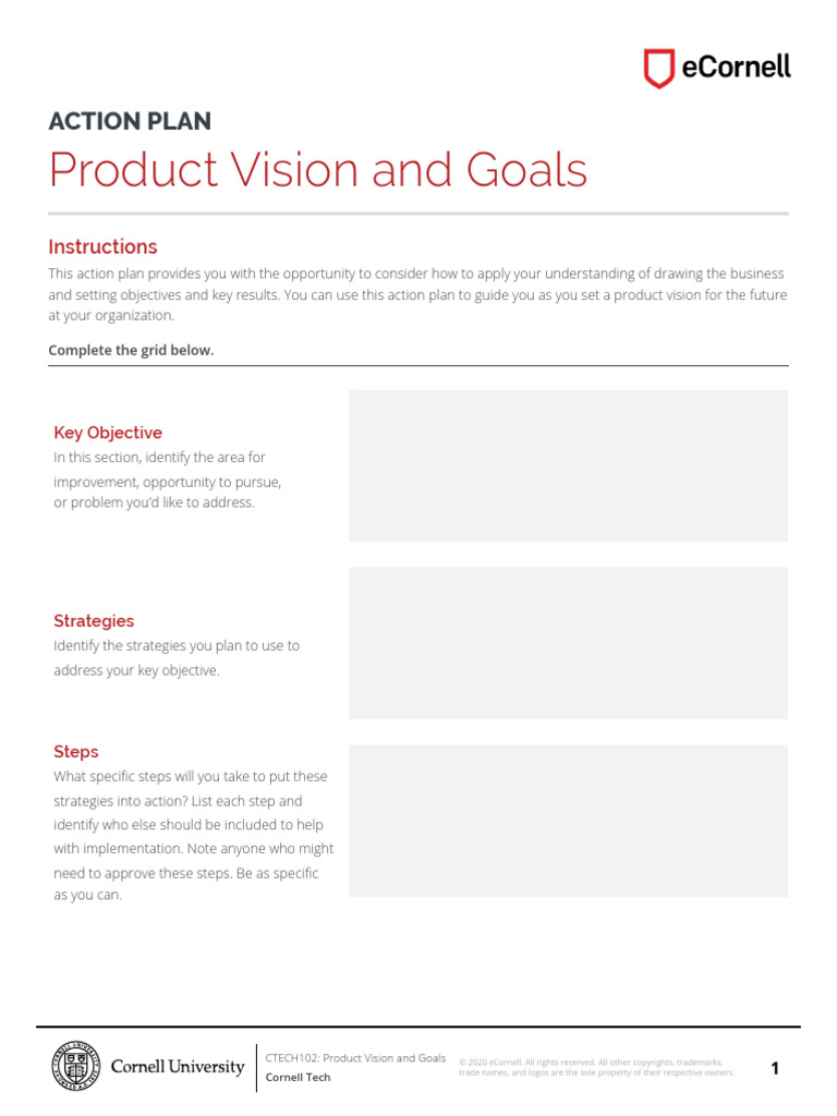 Product Management Action Plan Example | PDF | Finance & Money ...