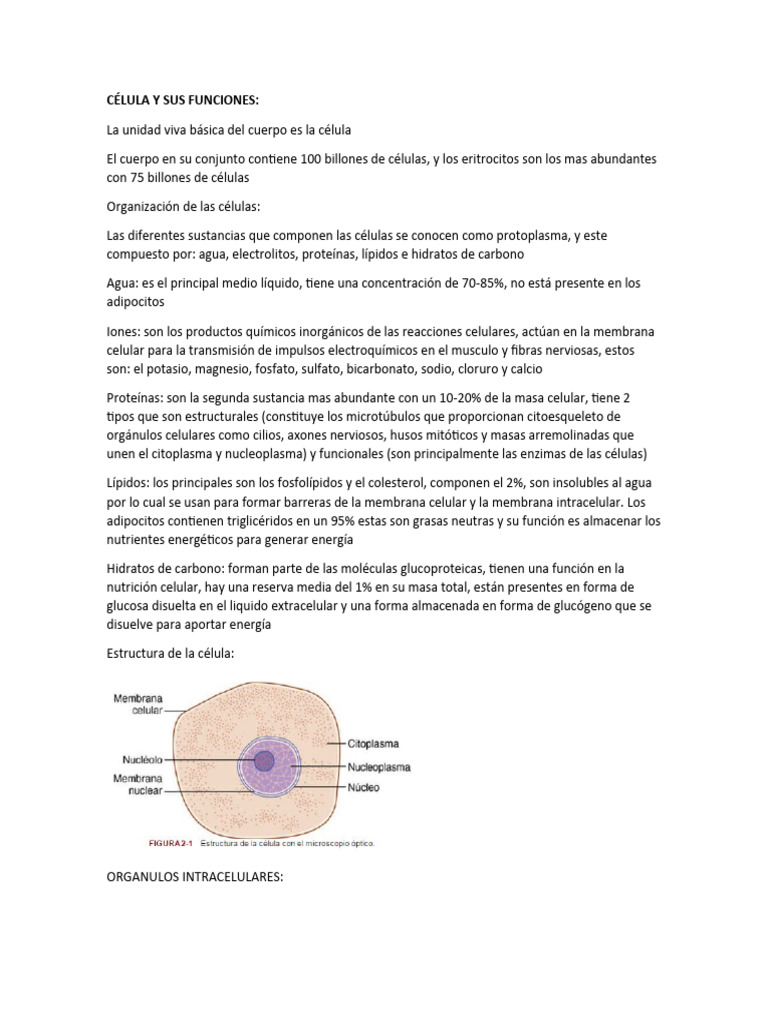 Estructura y Funciones Celulares | PDF | Rna | Adn