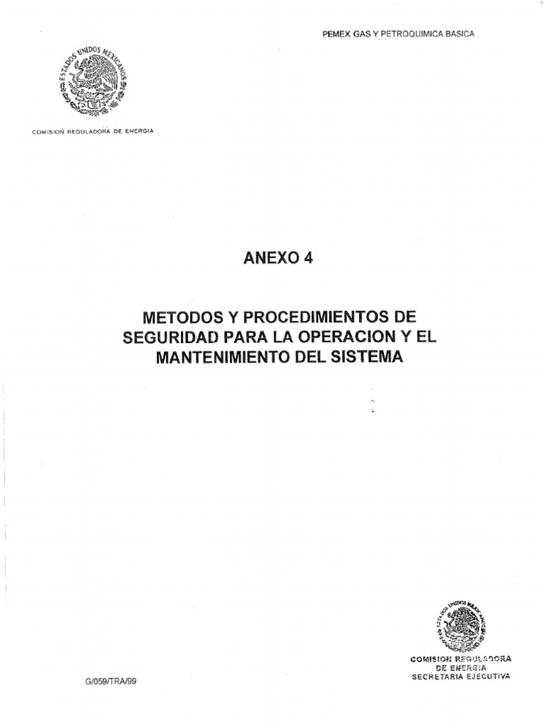 Anexo IV M Todos y Procedimientos 1 | PDF