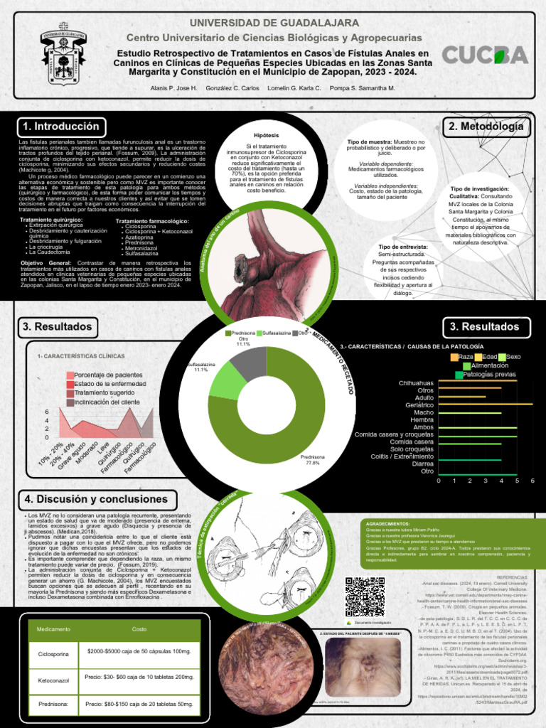 Equipo 2, b2 Primero 2024 a, Cartel | Descargar gratis PDF | Farmacología | Tratamientos médicos