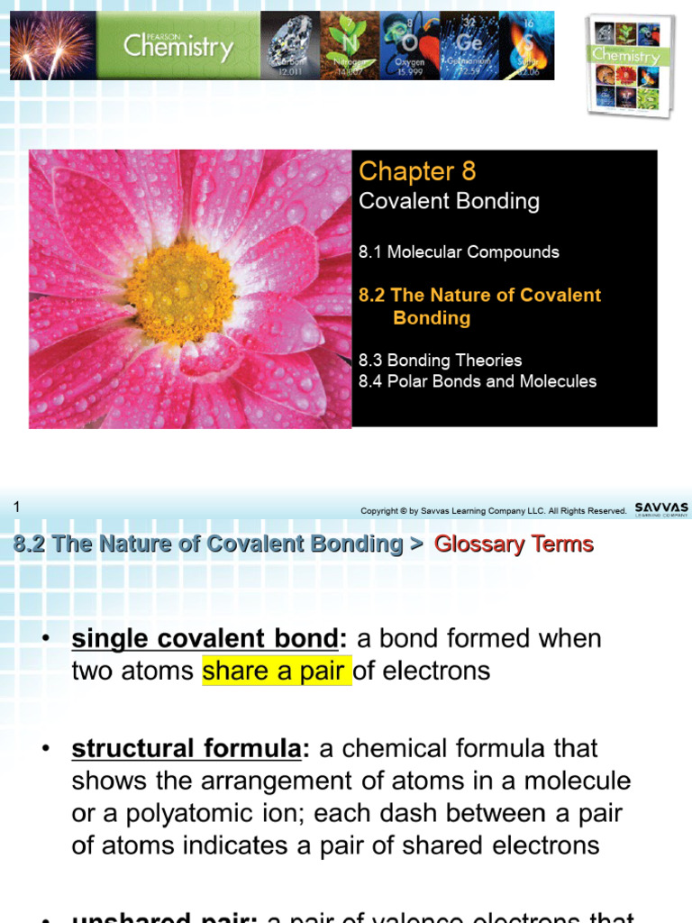 The Nature of Covalent - 8.2 | PDF | Chemical Bond | Covalent Bond