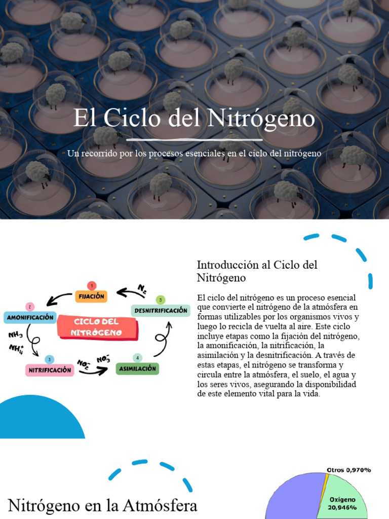 El Ciclo Del Nitrógeno | PDF | Nitrógeno | Agua