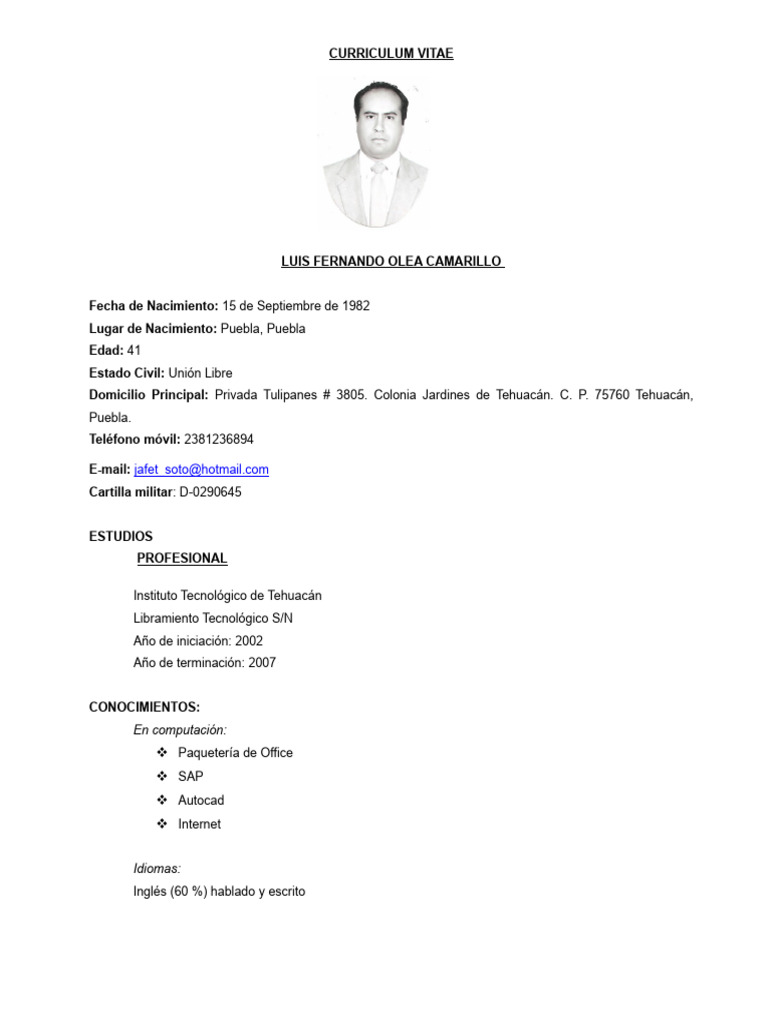 Curriculum Vitae Luis Fernando Olea | PDF | Logística