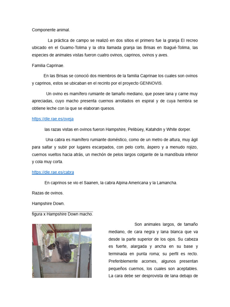 Sistemas de Pastoreo | PDF | Oveja
