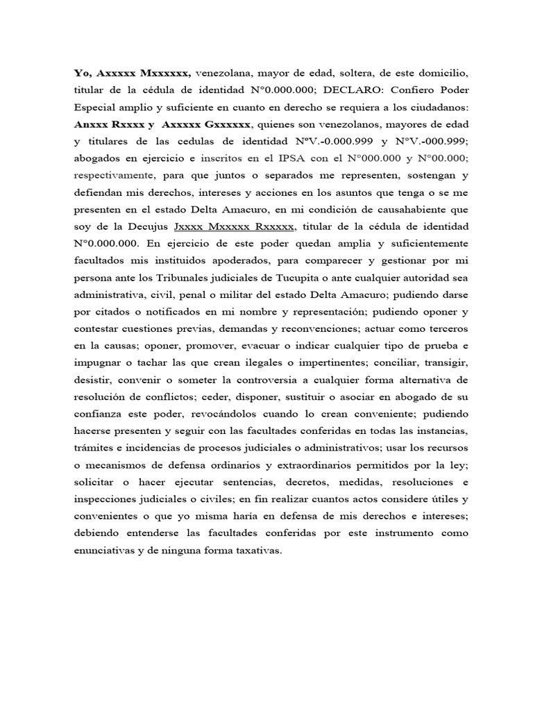 Modelo de Poder Especial Judicial | PDF