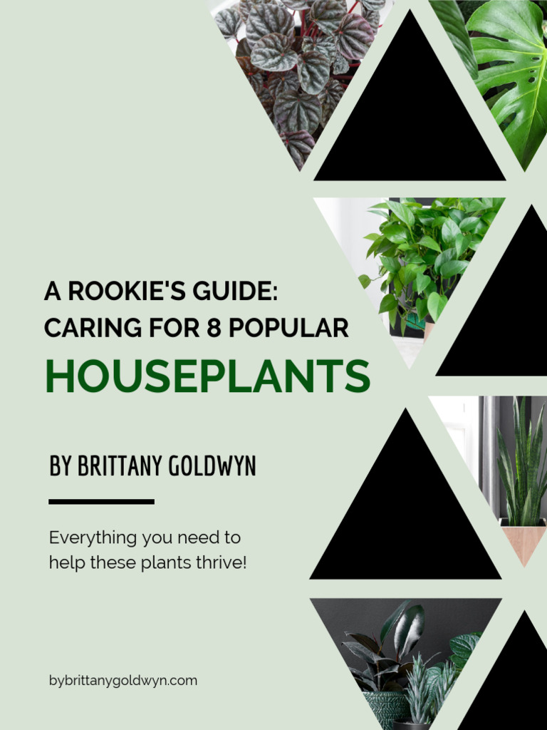 Easy Houseplant Care Guide | PDF | Houseplant | Root